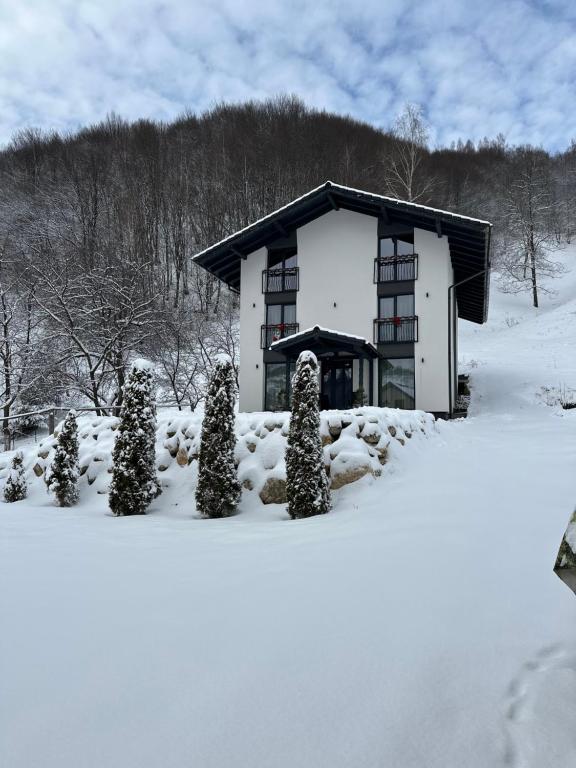 Forest House, Moieciu de Jos (preços atualizados para 2026)