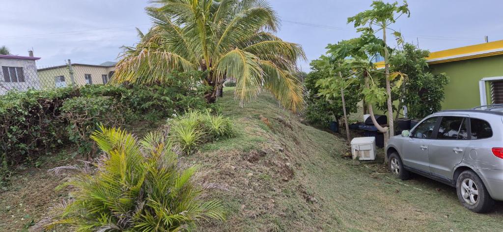 Ocean view, Old Norwood (2026 güncel fiyatları)