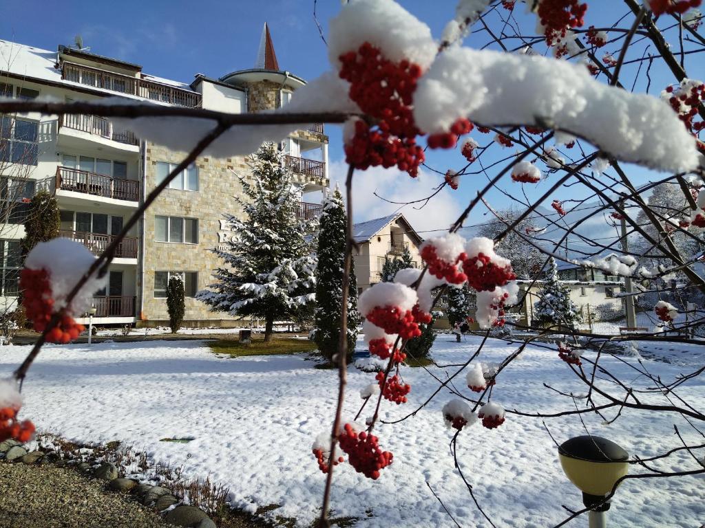 Sunny Studio Eagle Rock, Beli Iskar (prezzi aggiornati per il 2026)