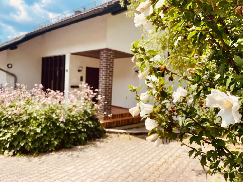 Odw homes - Large country house with three apartments and garden ...