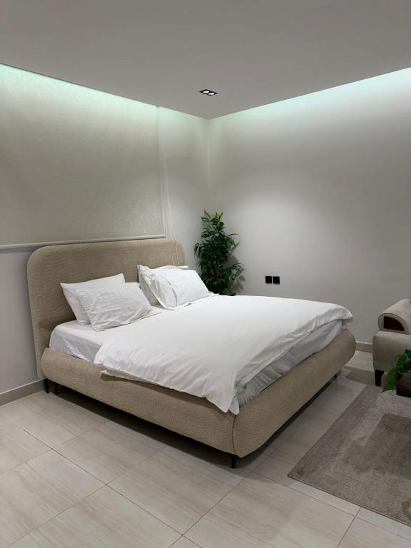 elegant studio and luxurious design, Riyad (tarifs actualisés, 2026)