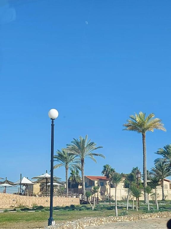 Sama El Arish, Maḥaṭṭet el- `Arîsh (precios actualizados en 2026)
