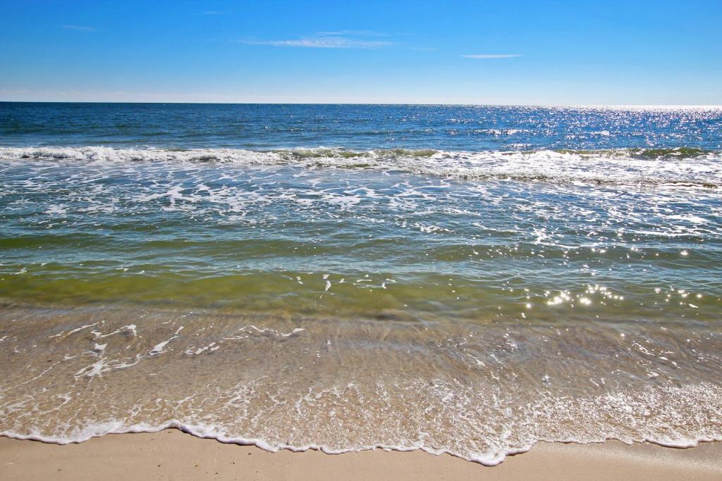 San Carlos 808 by Youngs Suncoast, Gulf Shores (preços atualizados para ...