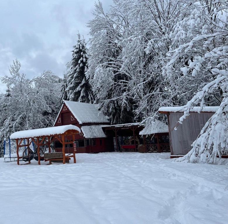 Cabana Paltini, Costeşti (updated prices 2026)