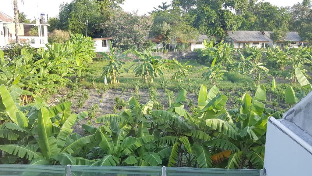 Bodat Townhouse - Housity