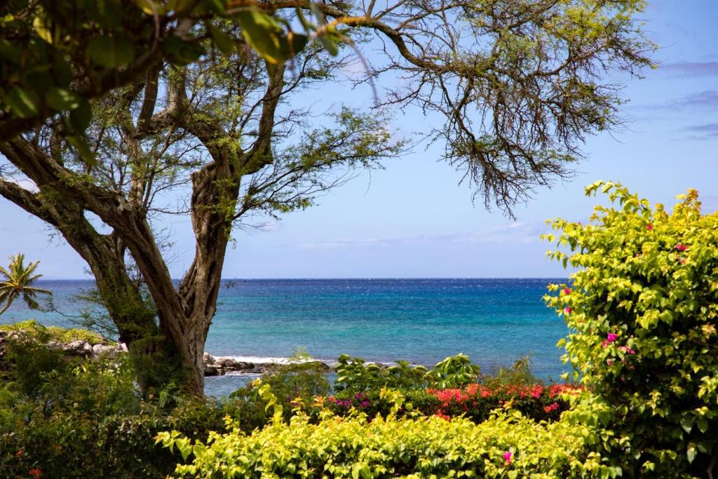 Napili Point Water Front 4 FREE CARS KBM Resorts Water Front 4 Units 5 ...
