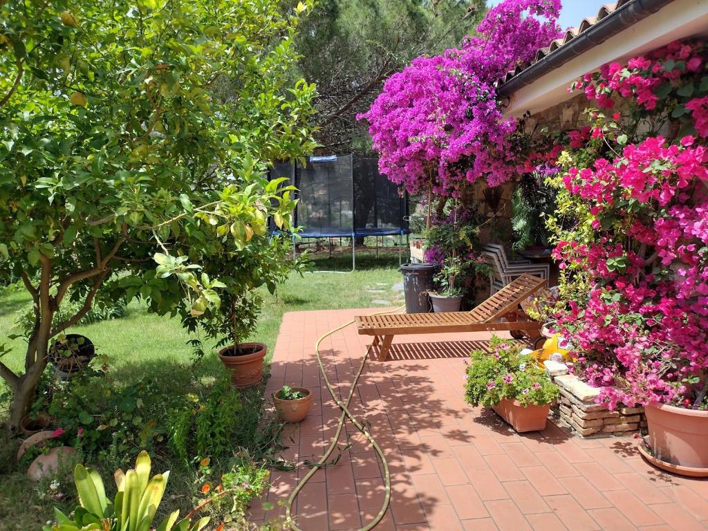 Piccolo angolo di paradiso, Taggia (precios actualizados 2026)