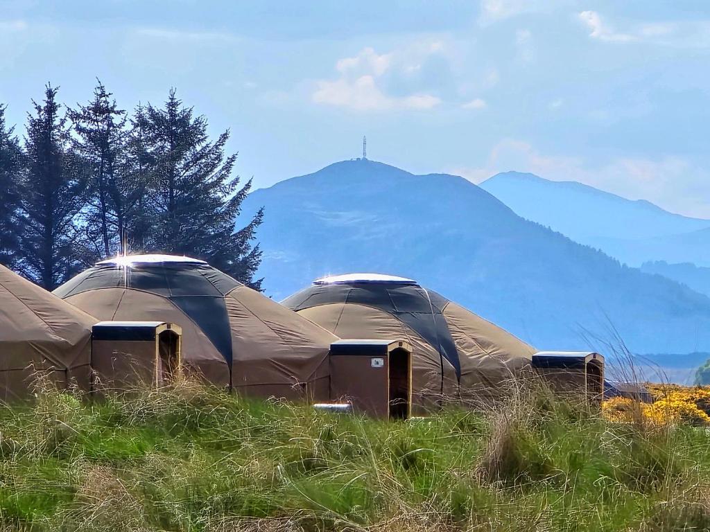Rainbow's End Yurts, Dornoch (updated prices 2026)