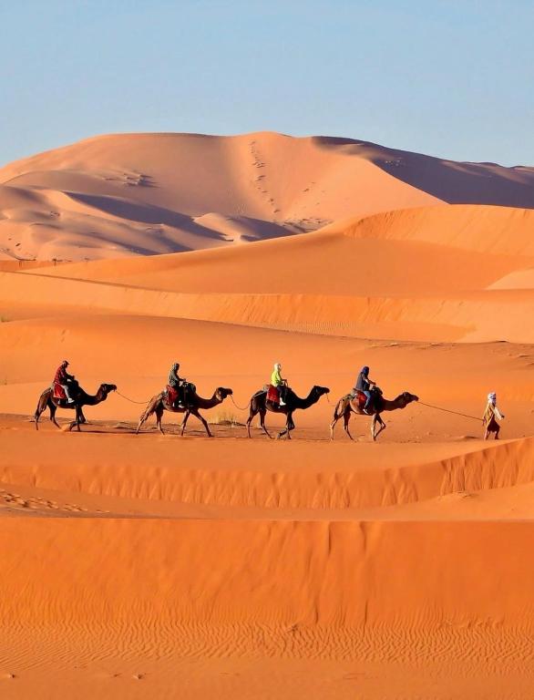 Merzouga desert camp, Merzouga (precios actualizados 2026)