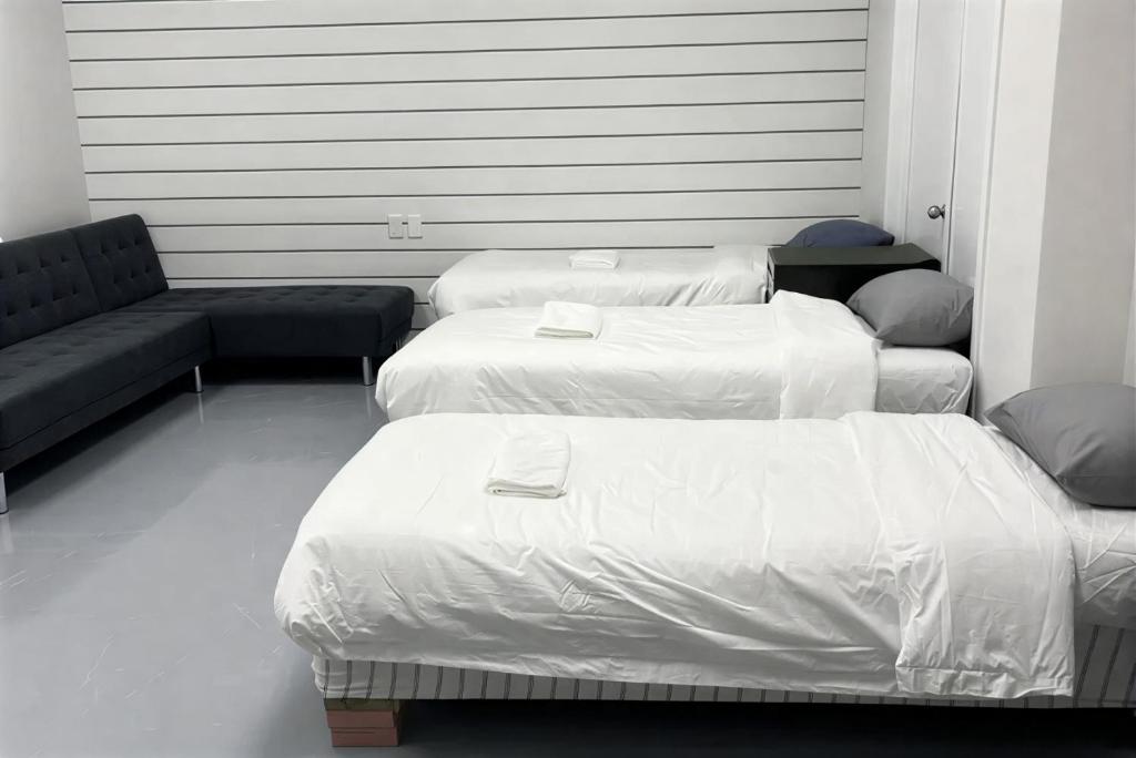 3 single beds, and 2 double sofa beds studio, Auckland (updated prices ...