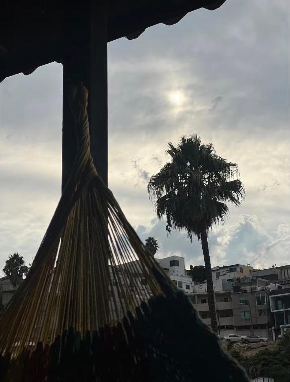 Garden and chill, Tijuana (preços atualizados de 2026)