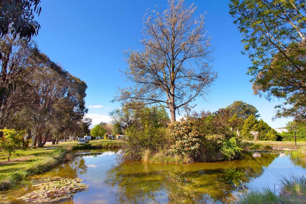 Armidale Tourist Park, Armidale (updated prices 2025)