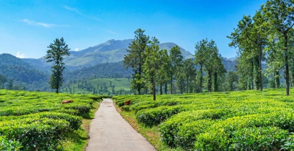 Wayanadan Resorts, Wayanad (updated prices 2026)