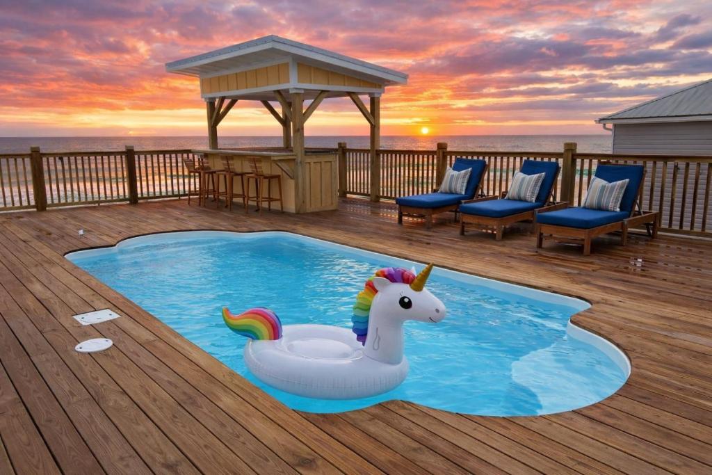 Parrot Dice. On the beach, pool, Dauphin Island (precios actualizados ...