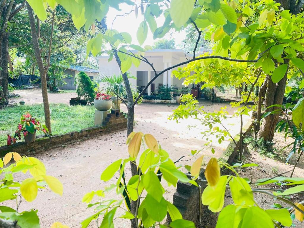 Sigiriya Yahana, Sigiriya (uuendatud hinnad 2026)