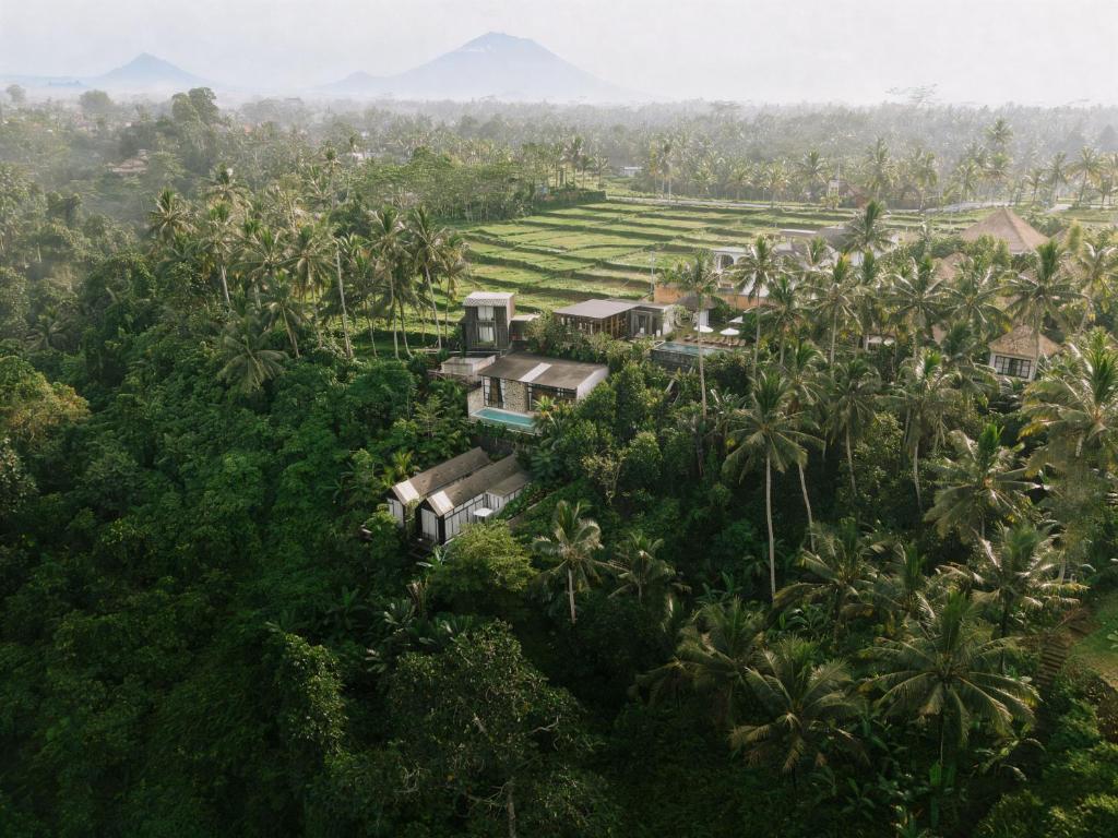 Magical Jungle Resort, Ubud (updated prices 2026)