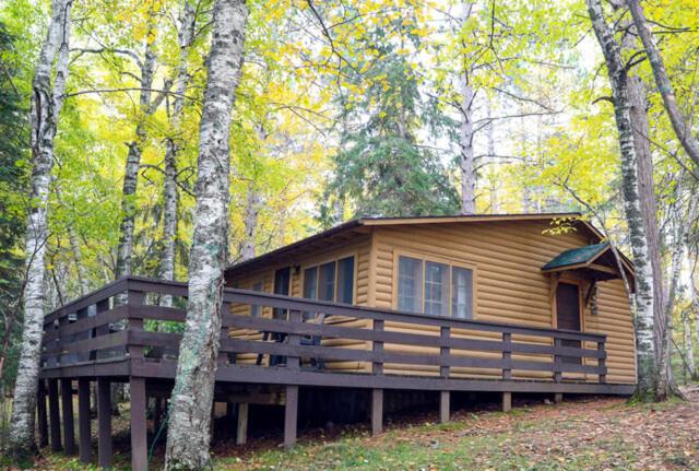 Spacious 3 Bed House - True Cabin in the Woods - Parking - Netflix CB04 ...