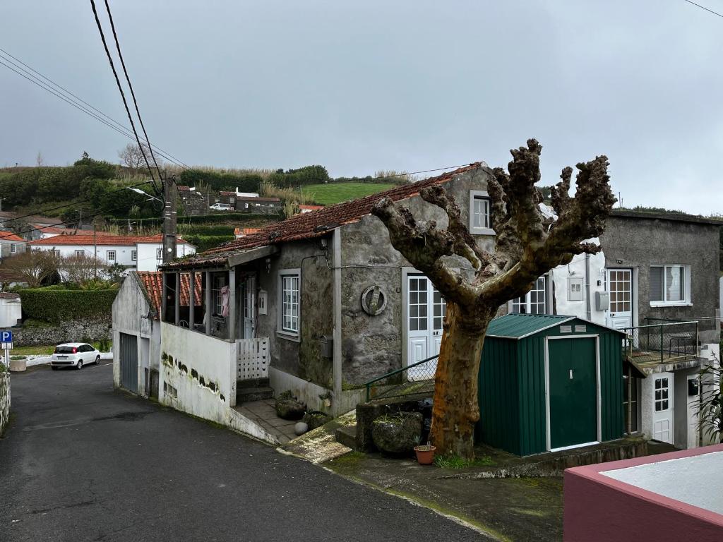 Casa do Stefan, Lomba (updated prices 2026)
