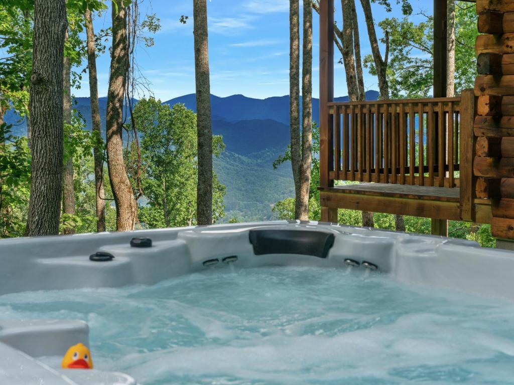 The Three Dog Night Cabin, Bryson City (updated prices 2026)
