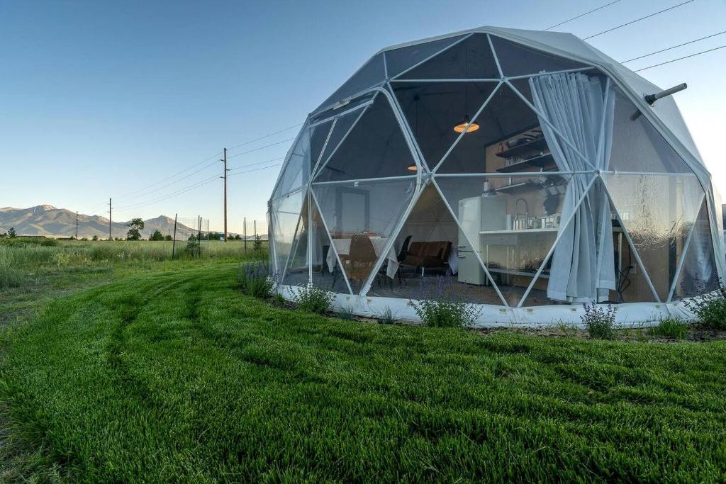 Montana Luxury Dome Stay with Panoramic Views Near Yellowstone National ...