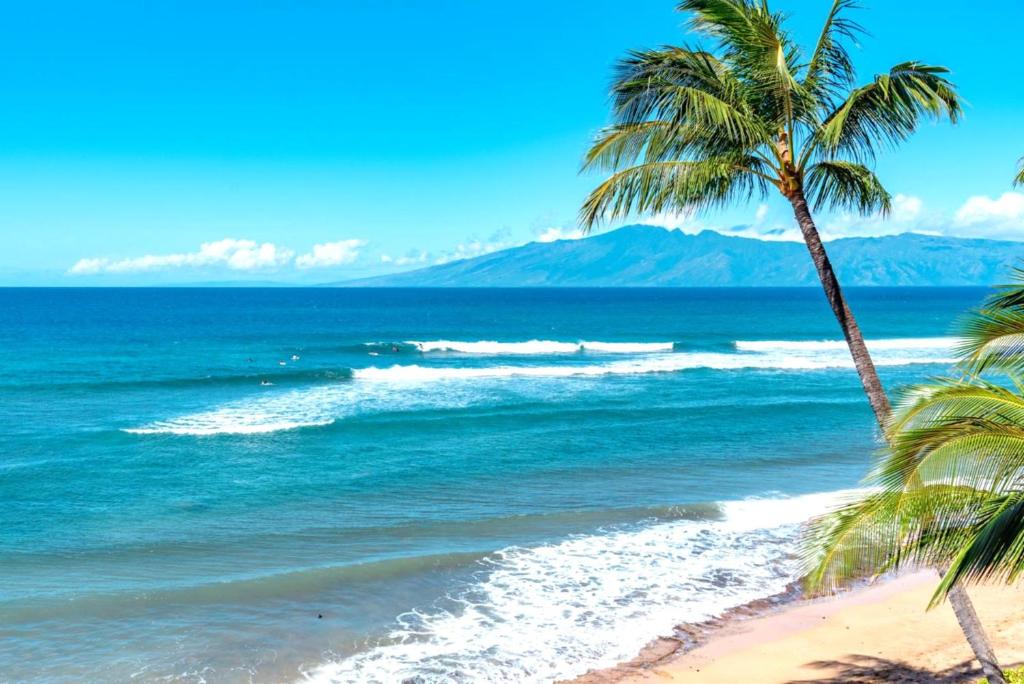 KBM Resorts FREE CAR Maui Kaanapali Studio Villa MKV-C255, Kaanapali की ...