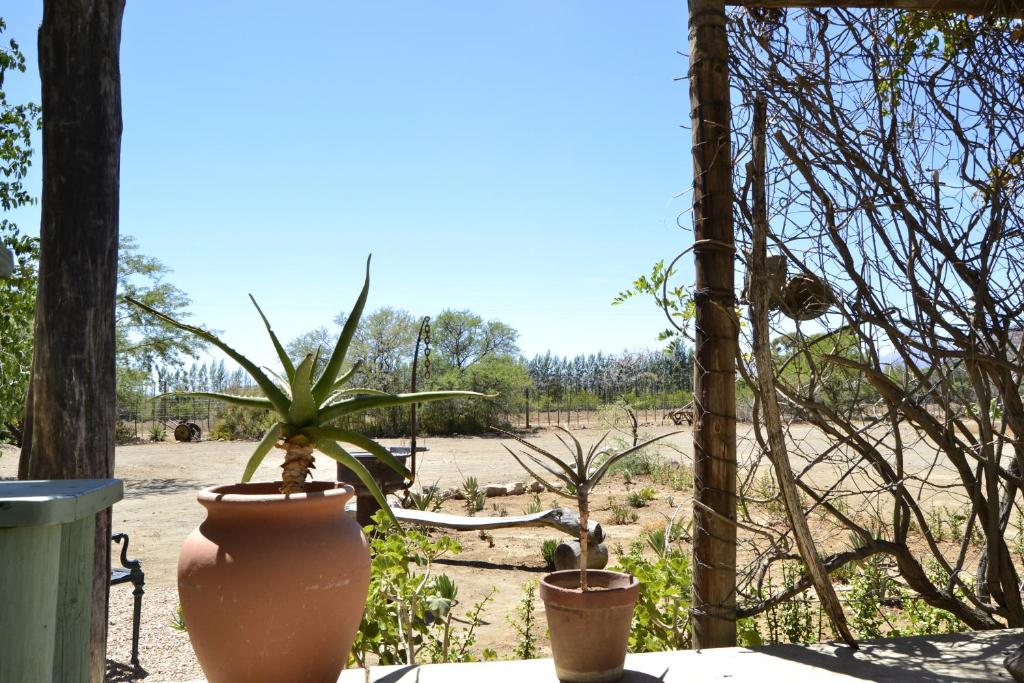 Aloe Guest House, Prince Albert (updated prices 2025)