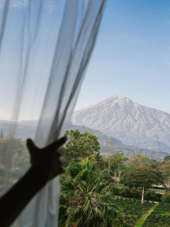 Gran Meliá Arusha, Arusha (updated prices 2026)