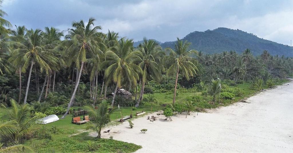 Binga Beach Resort, San Miguel (updated prices 2026)