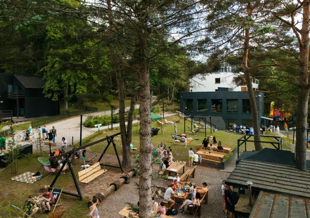 Narusa Leśna Przystań - domki i apartamenty w lesie we Fromborku nad ...