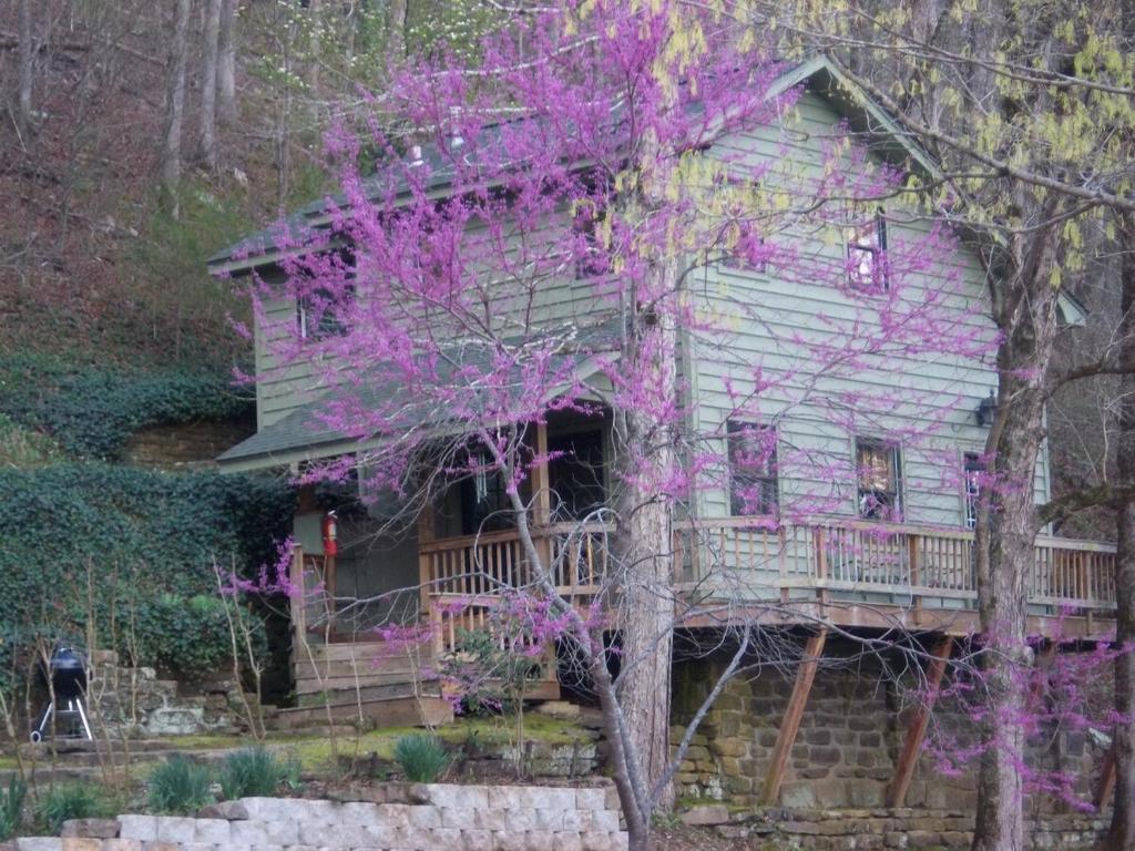 Turner Bend Cottage, Ozark (updated prices 2026)
