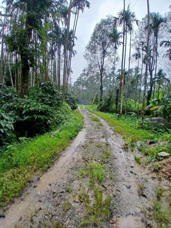 Anagha Stay - Chikmagalur, Avathi (precios actualizados 2026)