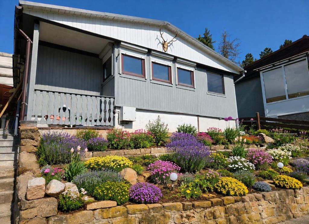 K&K Selketal Lodge, Meisdorf (precios actualizados en 2026)