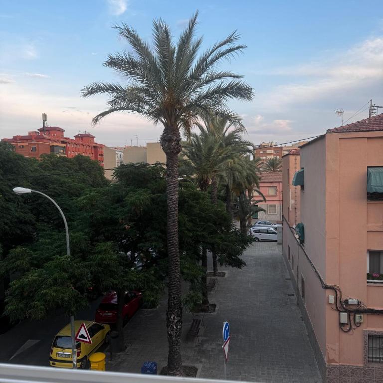 Veleta Montserrat - Alicante, Alicante (precios actualizados en 2026)