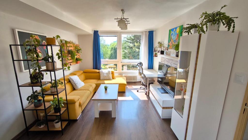 Apartmán Petra, Mariánské Hory (precios actualizados en 2026)