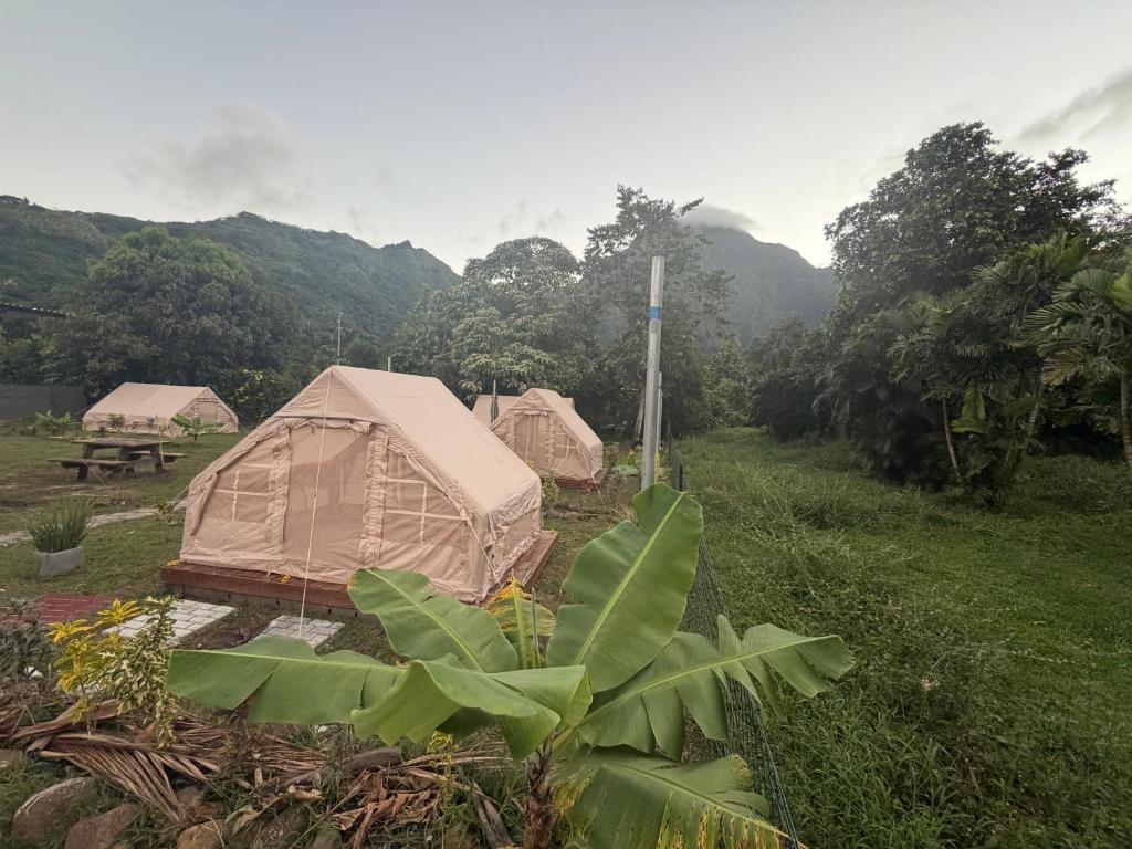 Moorea camping valley, Moorea (precios actualizados en 2026)