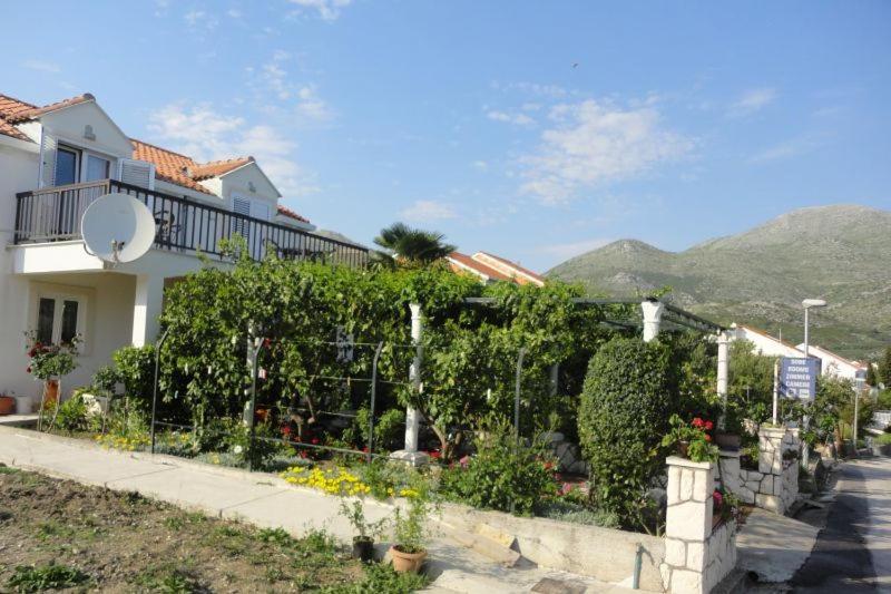 Guest House Pavkovic, Slano (updated prices 2025)