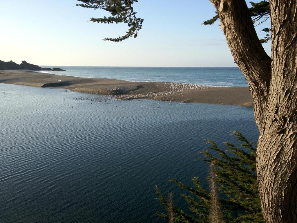 Gualala Surf Inn on the ocean bluff, Gualala (updated prices 2025)