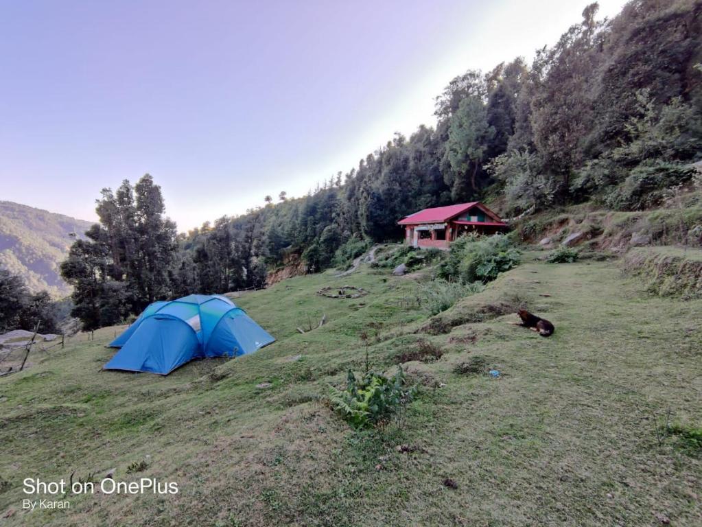 Cafe Himalayan Musaafir & Campsite Kareri, Minkiānī (tarifs actualisés ...
