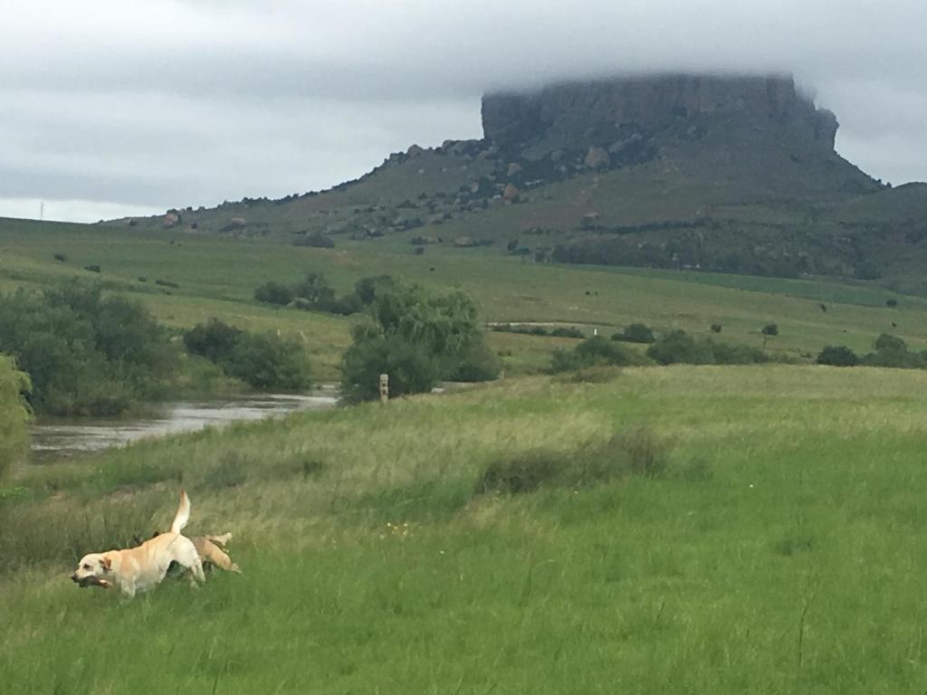 Riverview Country Inn, Van Reenen (updated prices 2025)