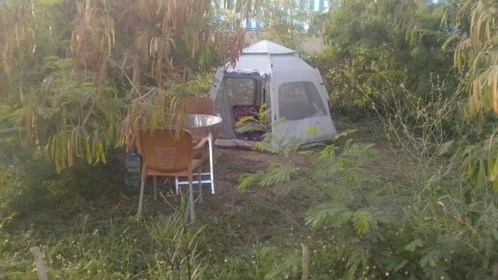 My little Hide - Mein kleines Versteck, Bargny (updated prices 2026)