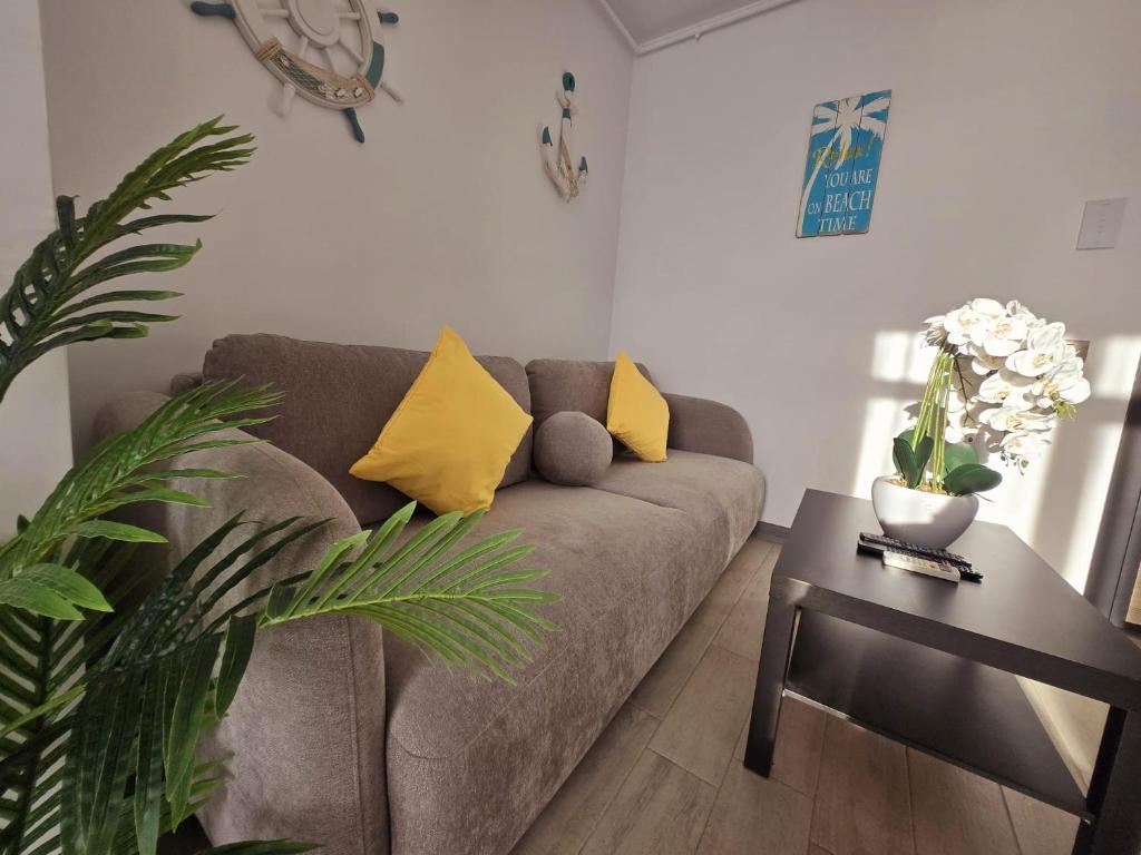 Superb Double Studio - Beach Resort Piscine Sauna Jacuzzy Gym, Mamaia ...