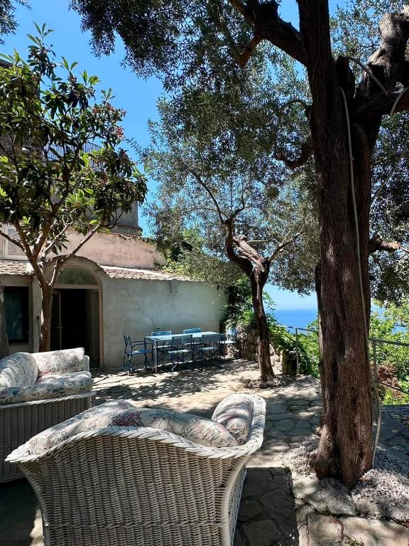 Limolivo, Sorrento Coast Country House by the Sea, Marciano (updated ...