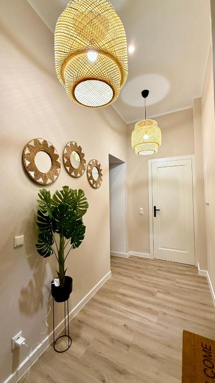 Beautiful Rooms - Luxury stay in the center, Stettin (aktualisierte ...