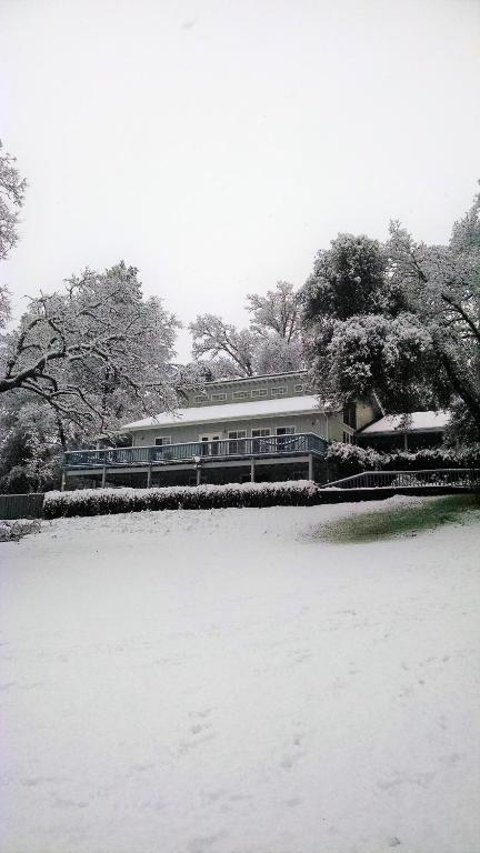 Charming Downstairs Unit, Oakhurst (updated prices 2025)