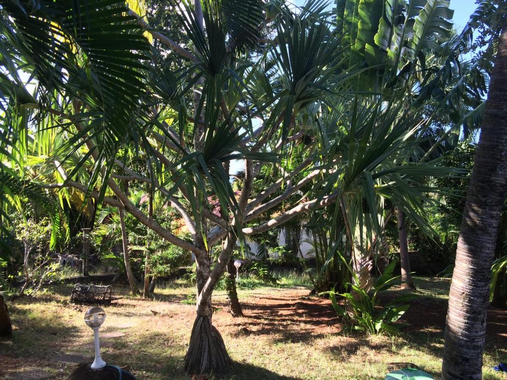 Villa et Gites Le Safran - Le Triskell, Deshaies (updated prices 2025)