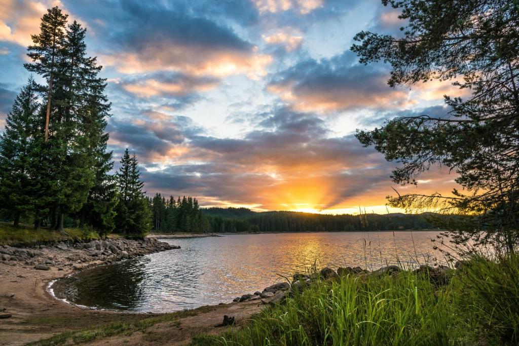 Romantica Forest Guest House, Dospat (güncel 2024 fiyatları)