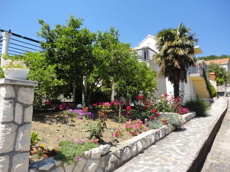 Guest House Pavkovic, Slano (updated prices 2025)