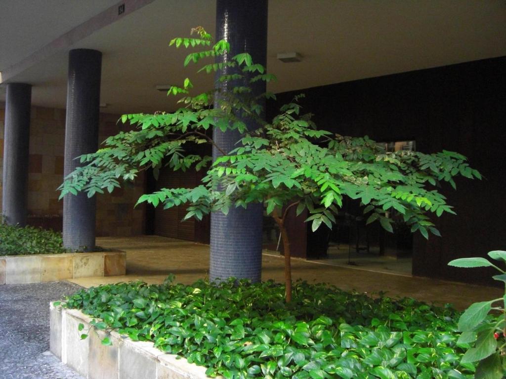 Ipanema Copa Hostel, Rio de Janeiro (updated prices 2025)