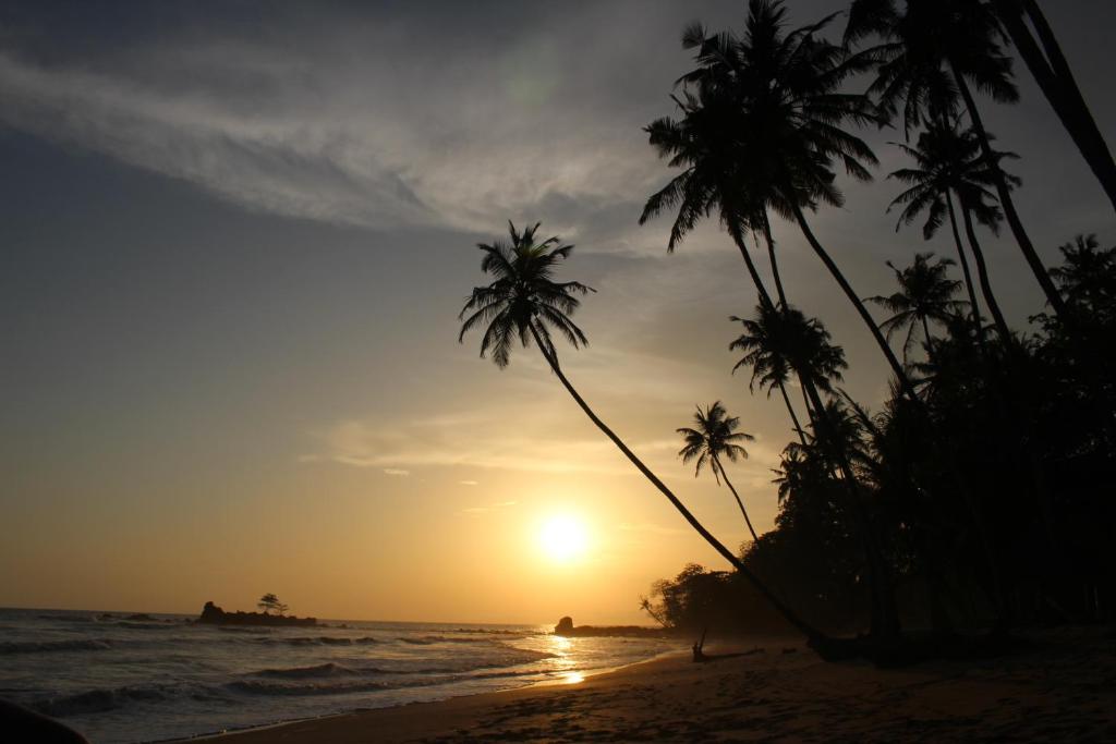Ankobra Beach Resort, Axim (updated prices 2025)