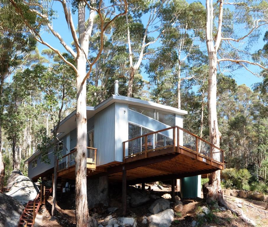The Tree House, Denmark (updated prices 2025)